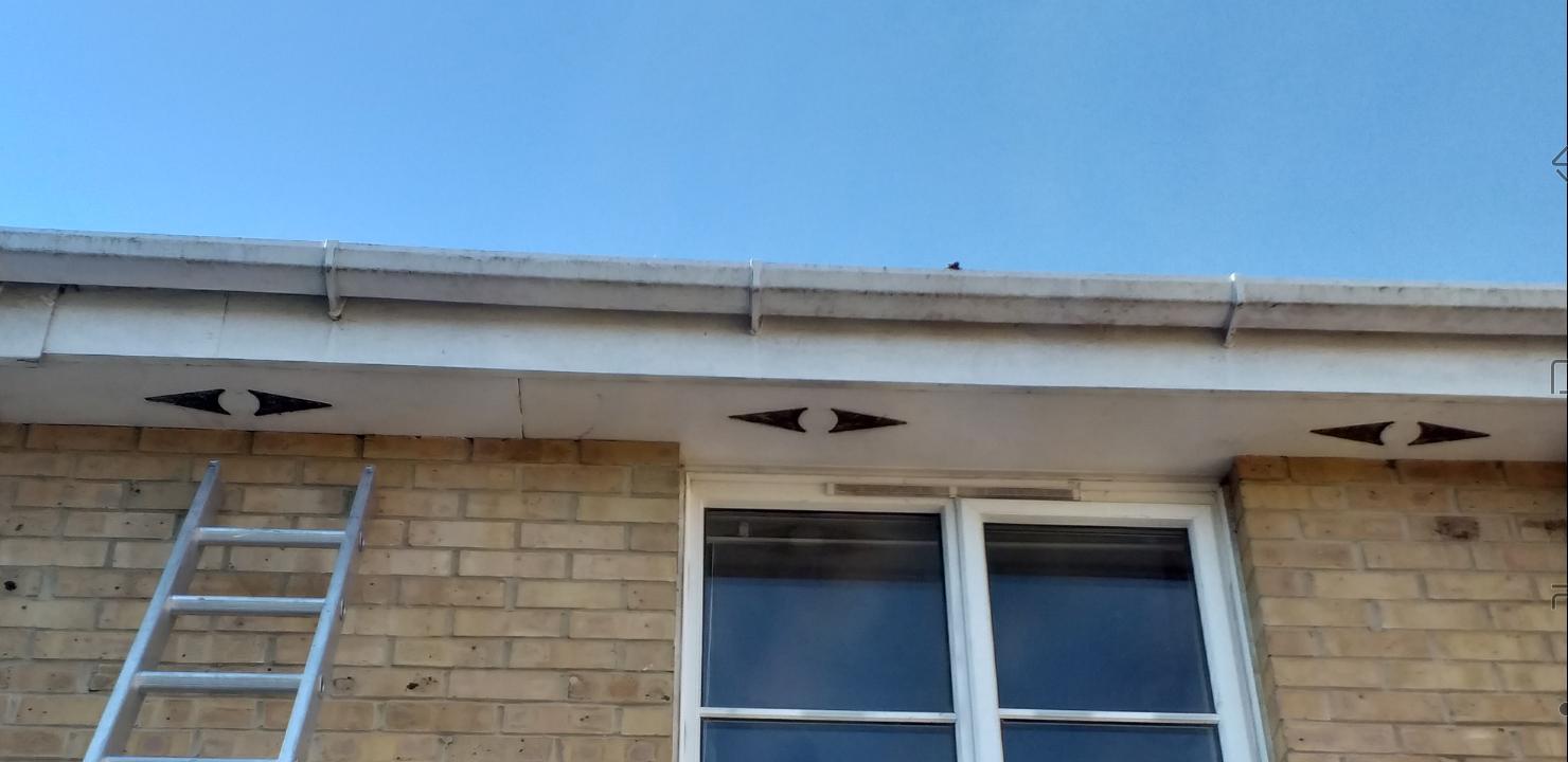 Fascia Line | External Property Maintenance | Gutter | Fascia | Roofing